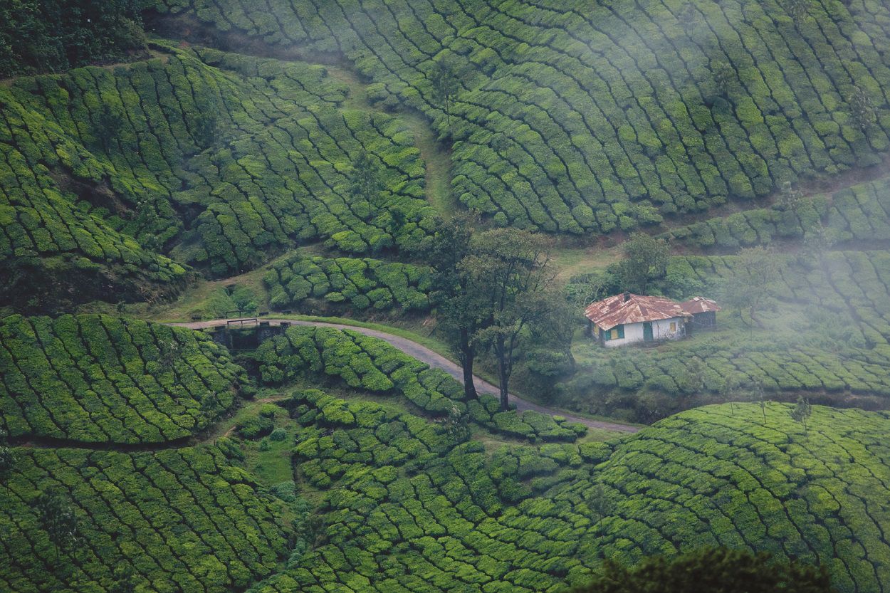 Munnar Activities Menu