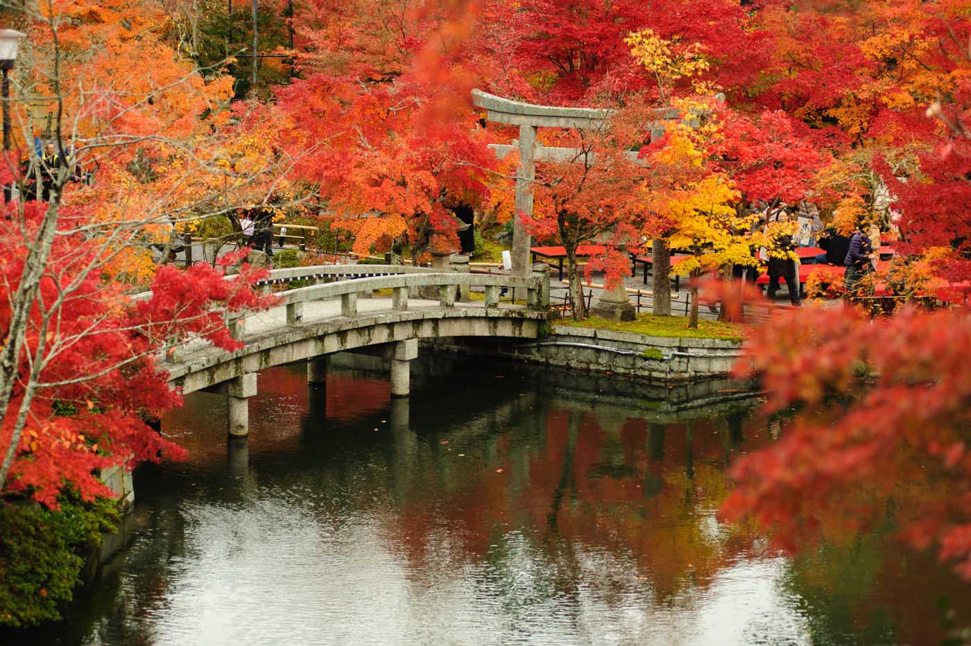 Kyoto Travel Cost Average Price Of A Vacation To Kyoto Food Meal Kyoto Travel Cost Average Price Of A Vacation To Kyoto Food Meal